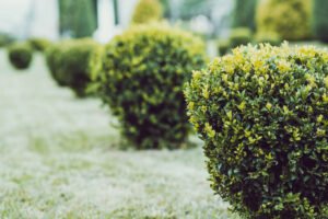 40 Small Garden Design Ideas: Genius Tips for Tiny Spaces