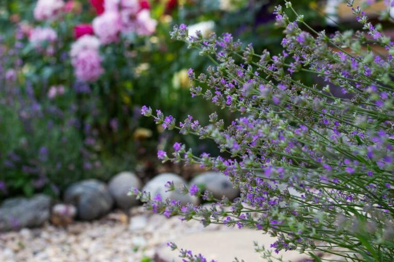 40 Small Garden Design Ideas: Genius Tips for Tiny Spaces
