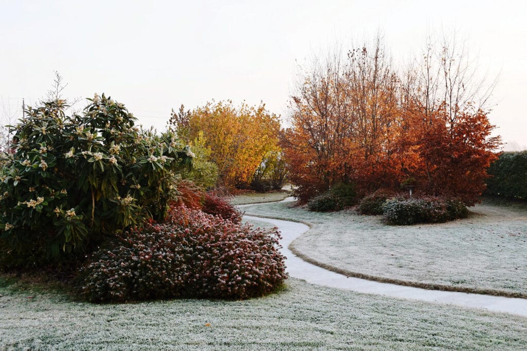 How To Prepare Your Garden For British Winter